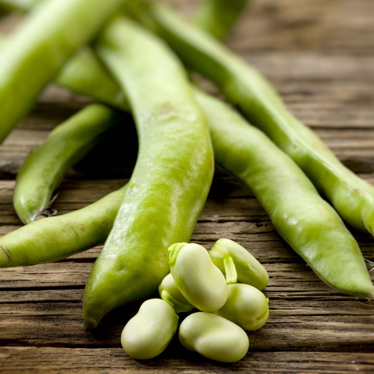 Fave - Acquista frutta e verdura su MYFRUITBOX!